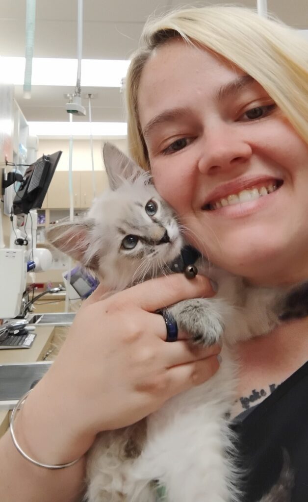 Determination and Dreams: Kayla Ruegg’s Journey to Veterinary Assisting ...